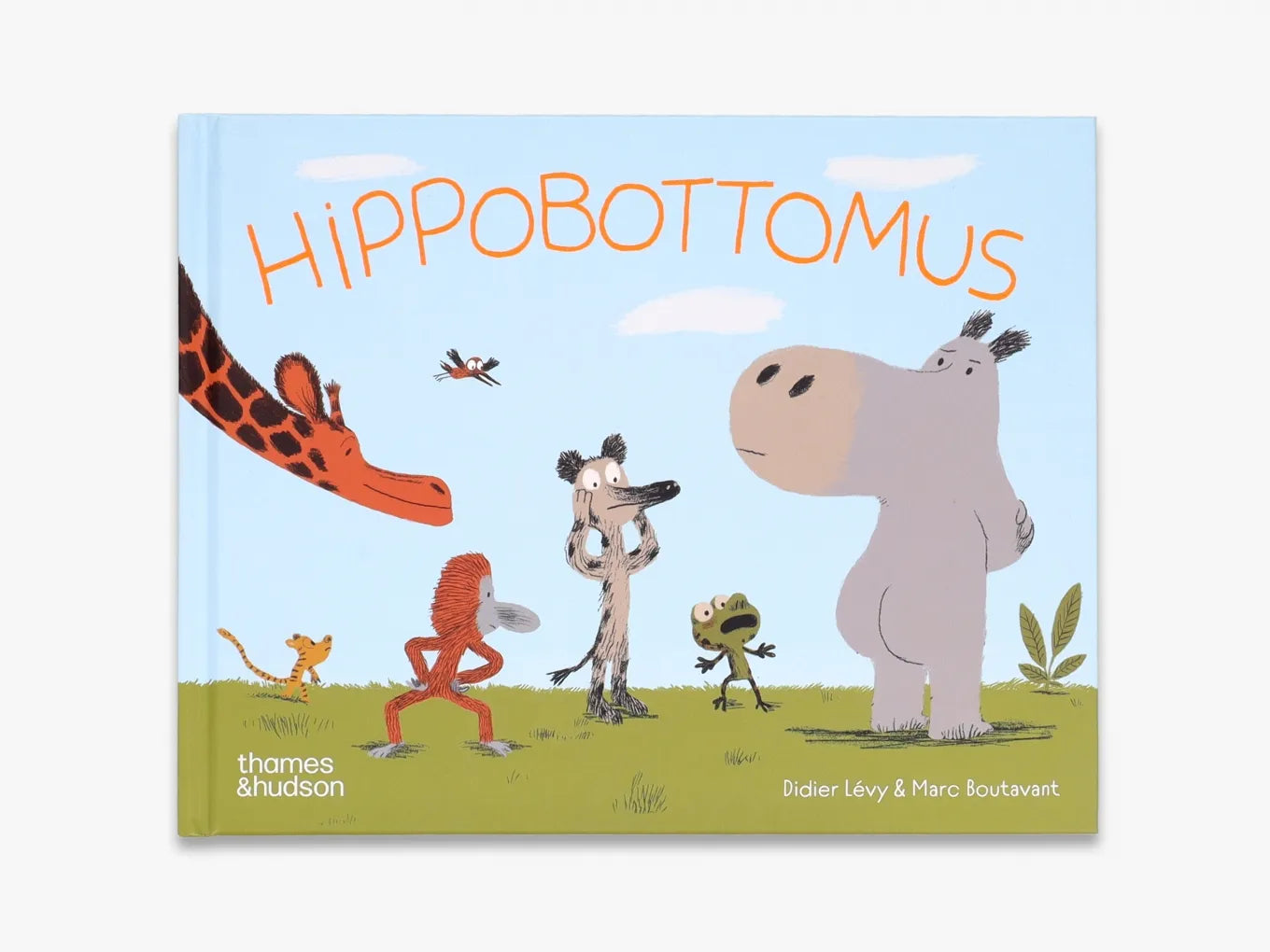 Hippobottomus