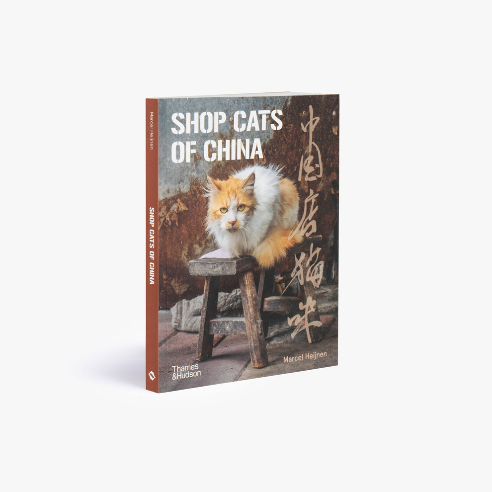 Shop Cats of China