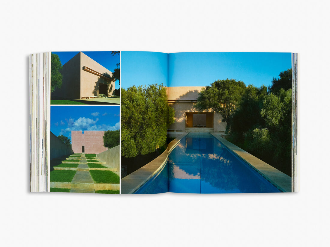 The Iconic House (Iconic House Series)