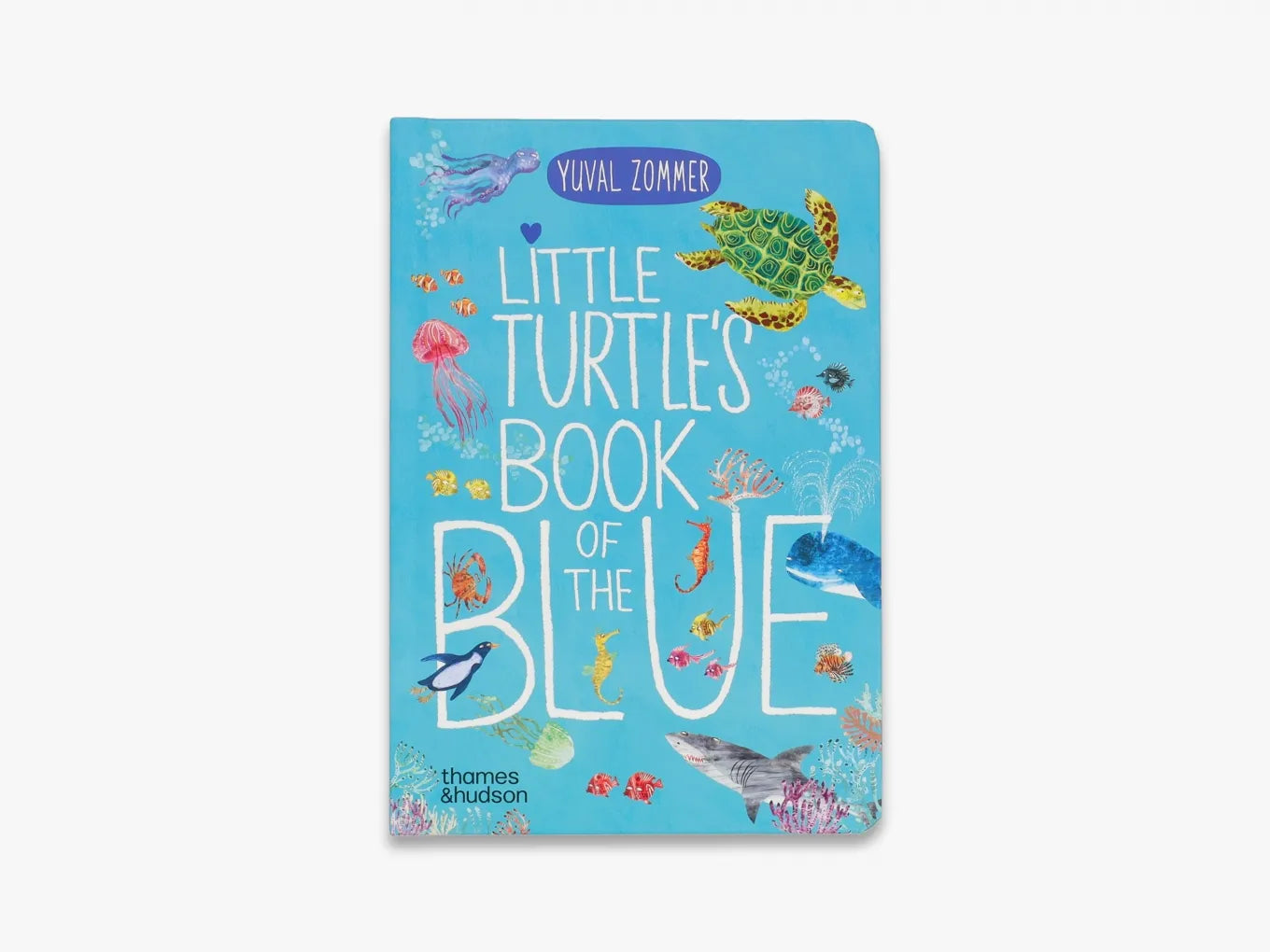 Little Turtle's Book of the Blue (The Big Book series)