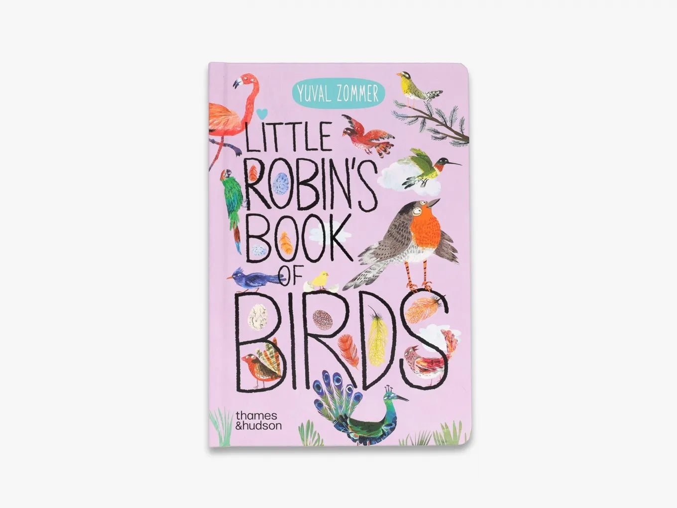 Little Robin's Book of Birds (The Big Book series)