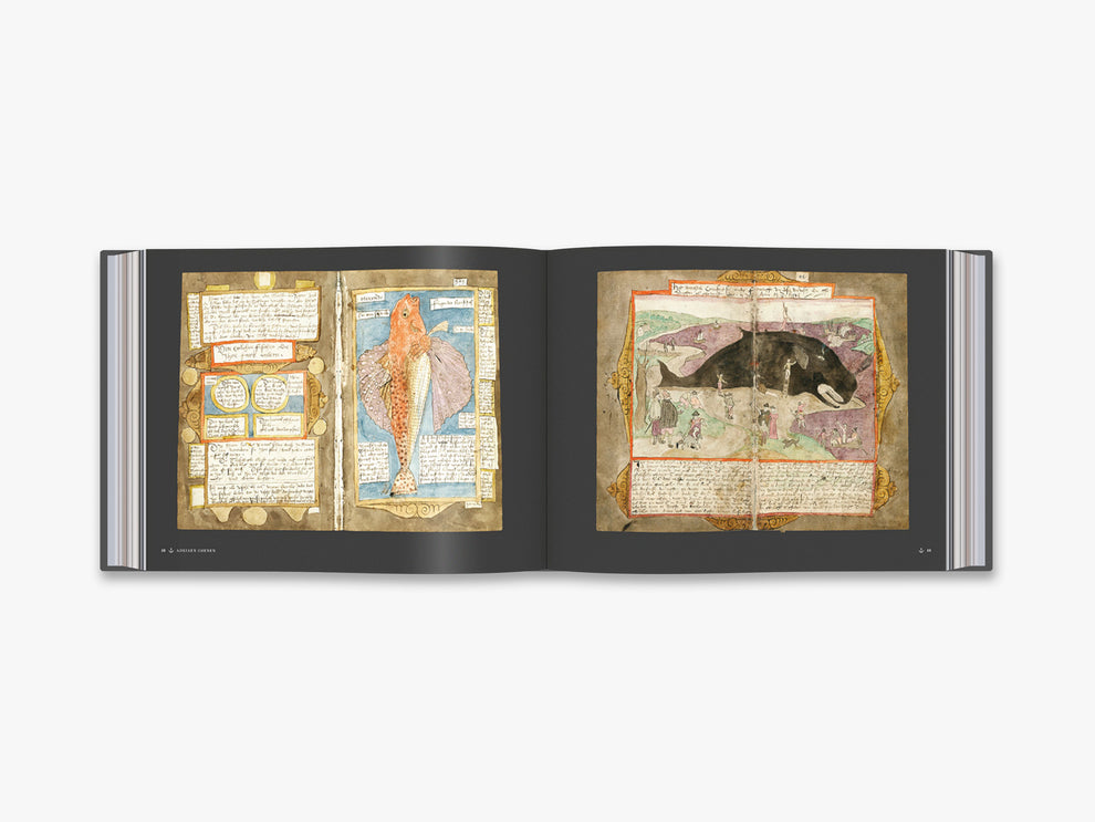 The Sea Journal