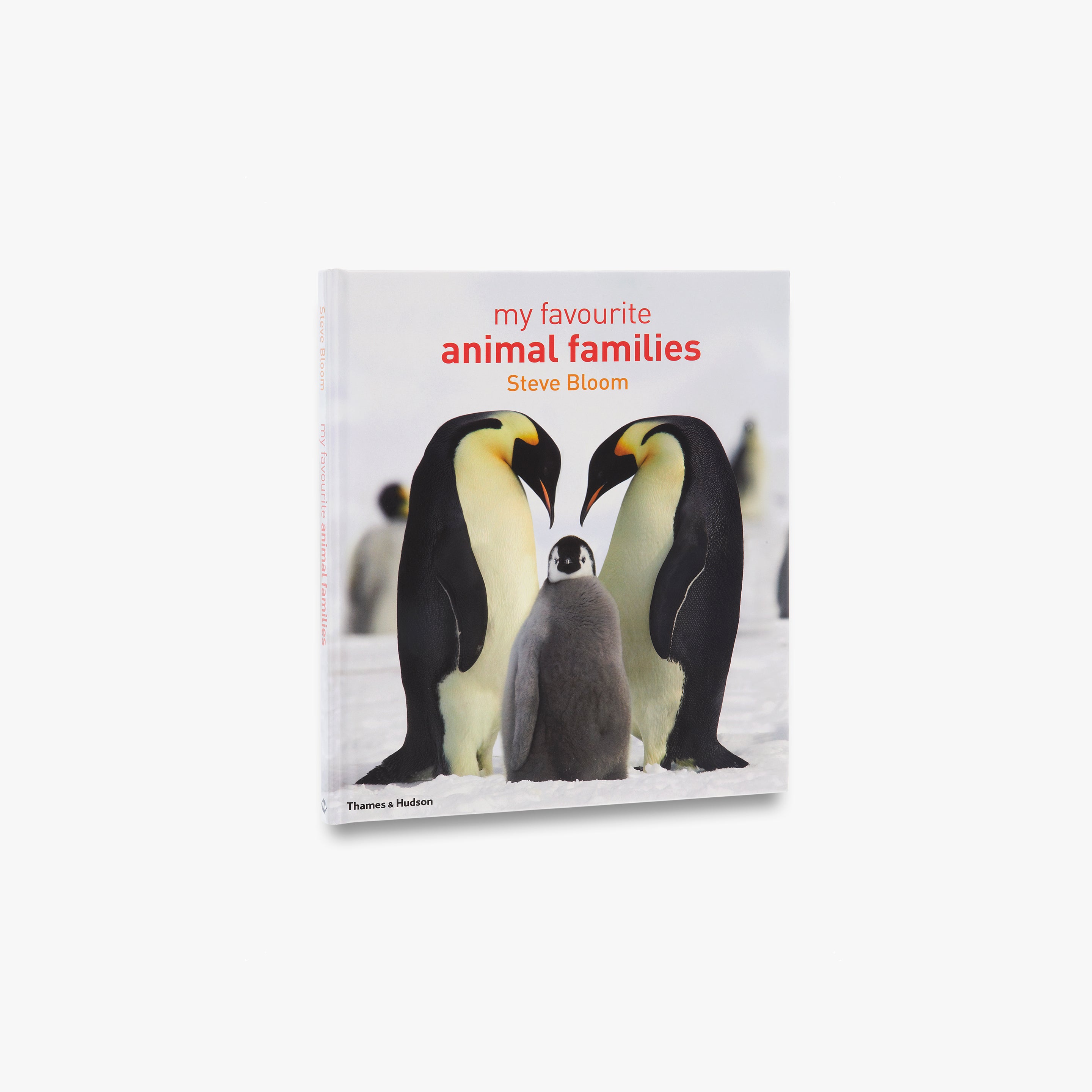 My Favourite Animal Families