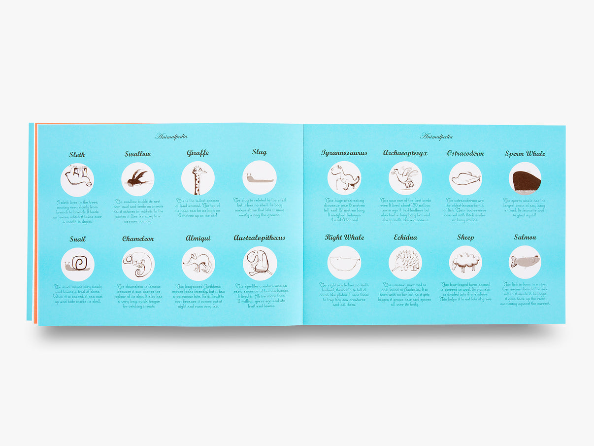 A Wonderful World of Animals